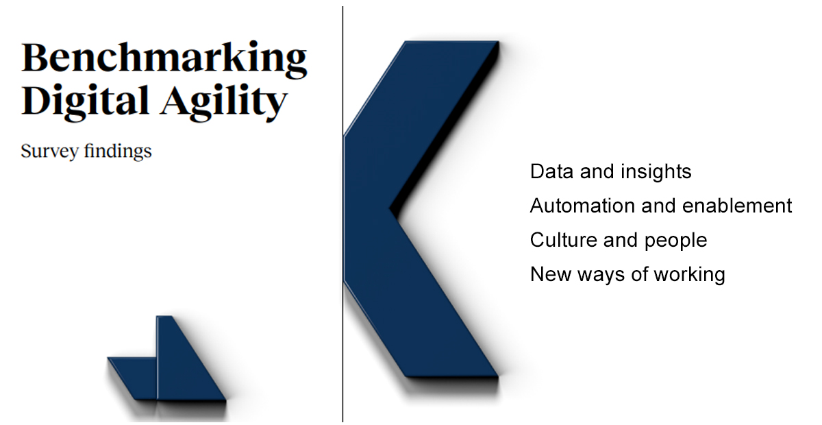 Benchmarking Digital Agility